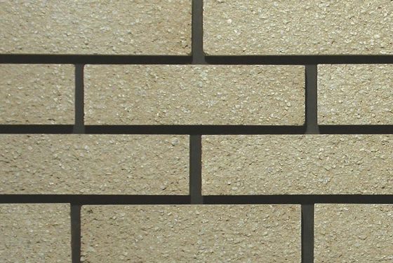 Carreg Ash Concrete Rustic - Matching Brick