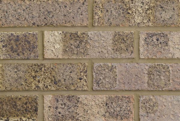 LBC London Brick Company - Matching Brick